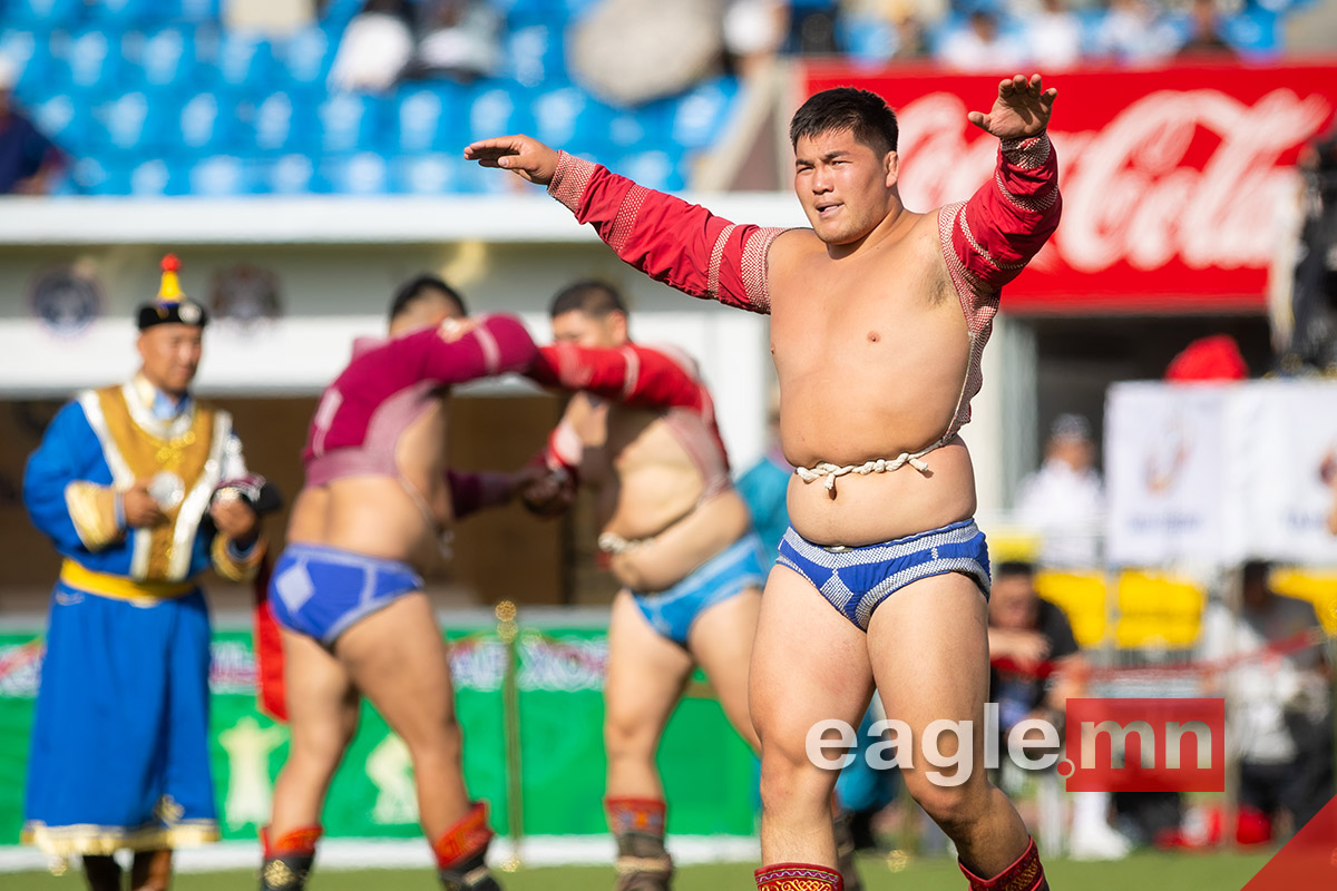 Шинэхэн арслан Э Батмагнай Өндөр гэгээний даншиг наадамд зодоглоно